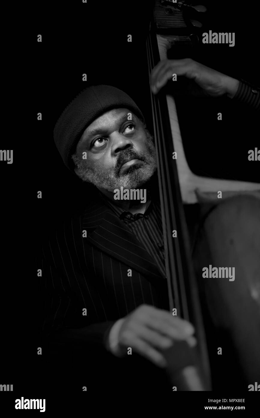 Henry Grimes, 2009. Artist: Alan John Ainsworth Stock Photo - Alamy