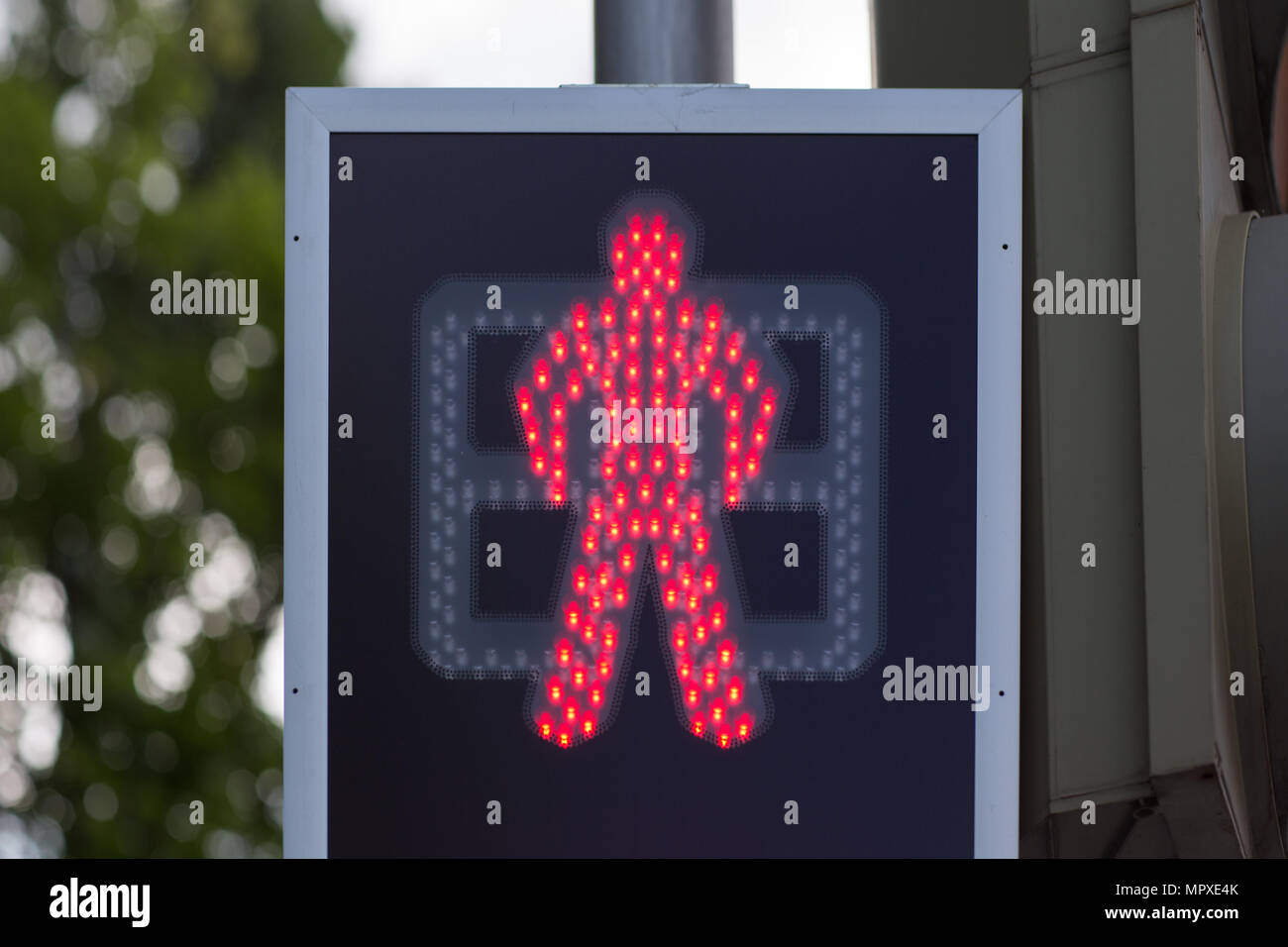 Stop signal pedestrian red traffic light Stock Photo - Alamy