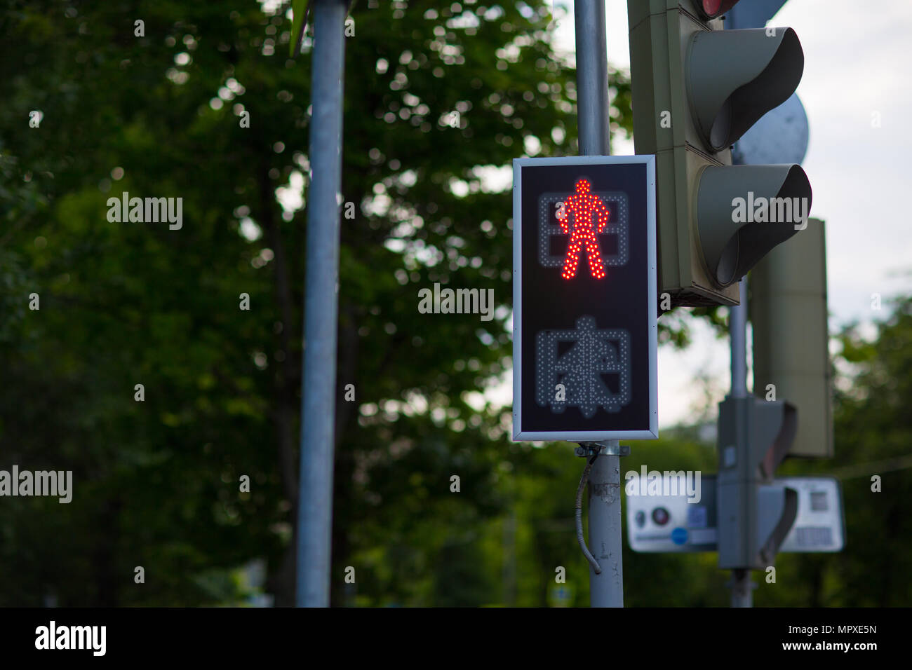 Stop signal pedestrian red traffic light Stock Photo - Alamy