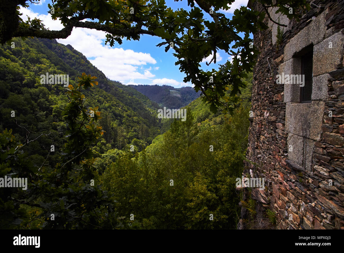 House in coniferous forest hi-res stock photography and images - Alamy