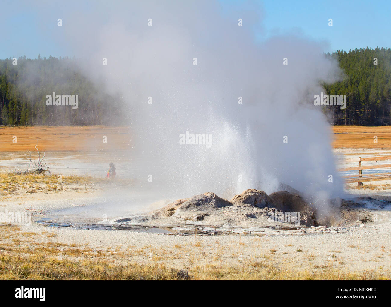 Lower geyser basin in the Yellowstone National park, USA Stock Photo ...