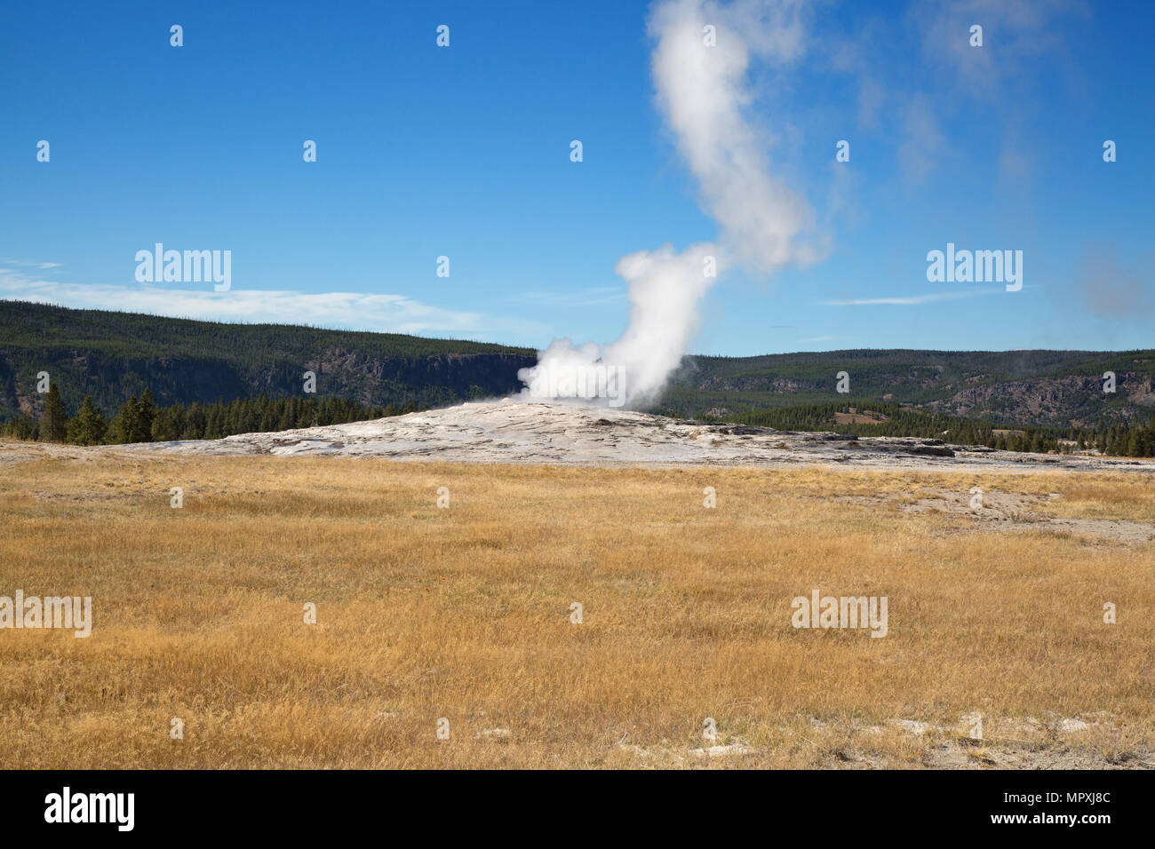 Old Faithful geyser after eruption in the Yellowstone national park ...