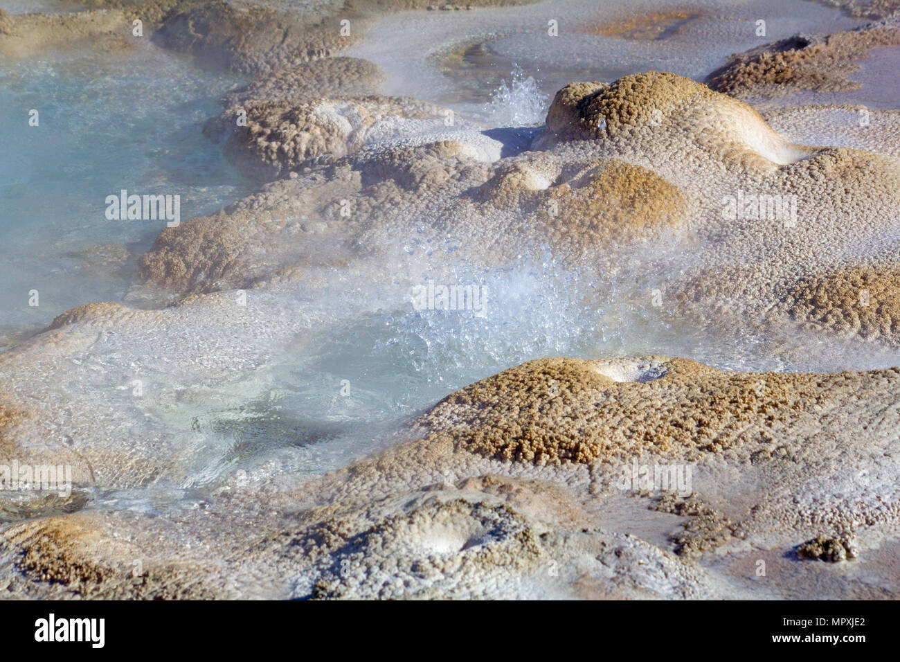 Colorful hot water pool in the Yellowstone National park, USA Stock ...