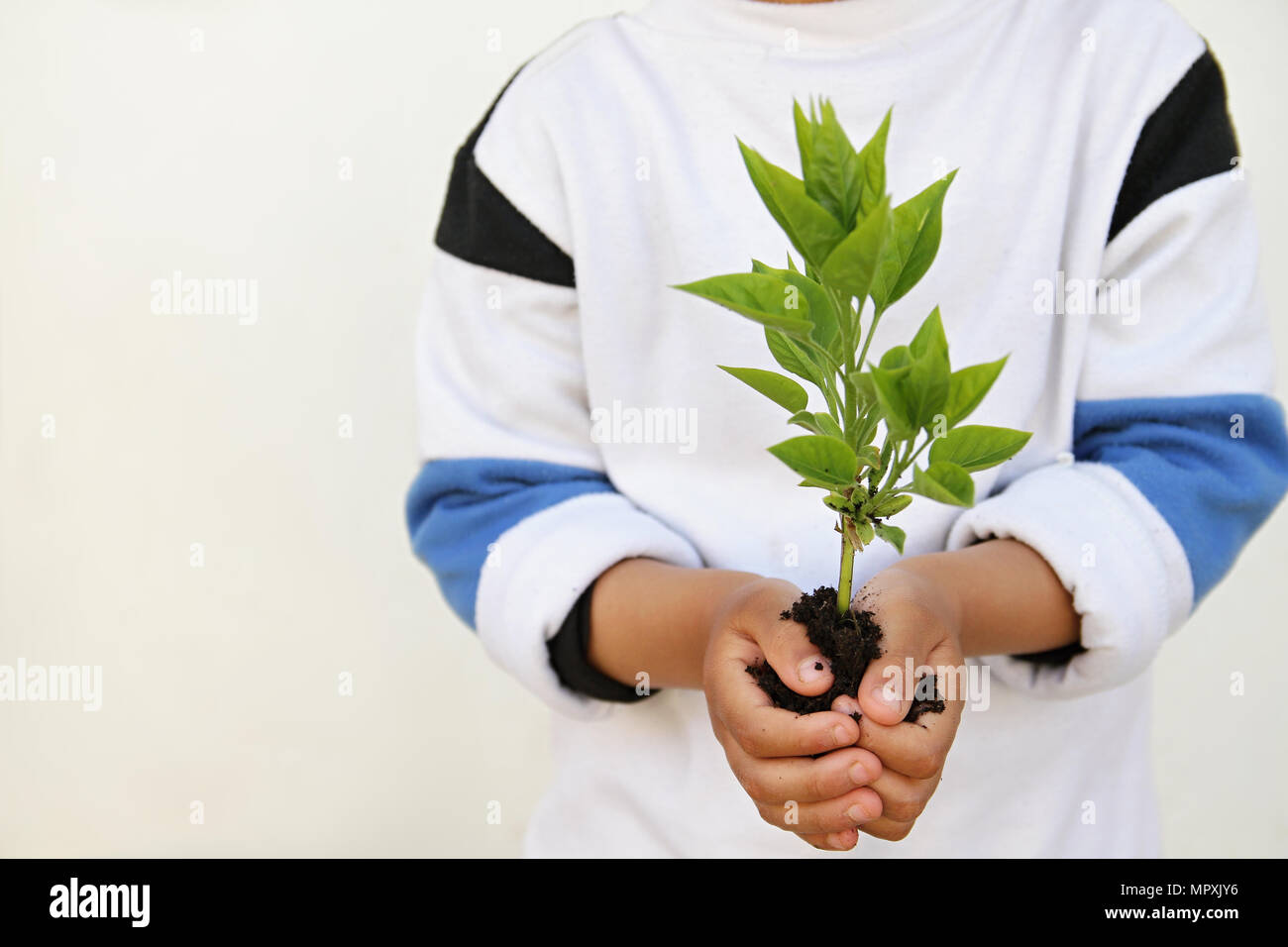 Earth day boy gardening hi-res stock photography and images - Alamy