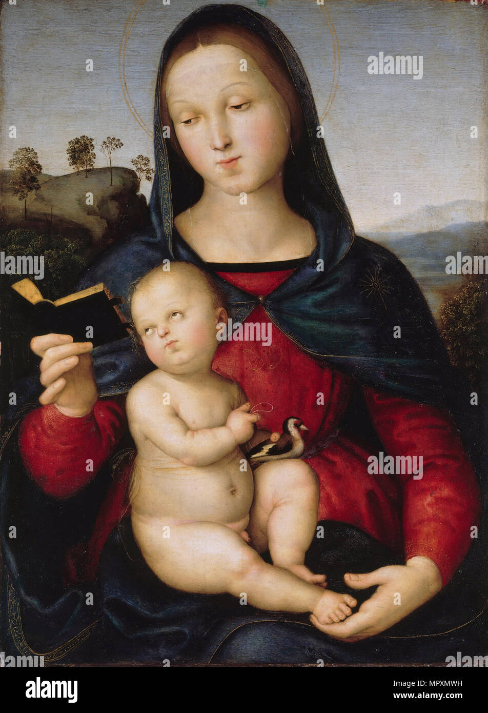 The virgin Mary is reading a book (The Solly Madonna), c. 1502-1503 ...