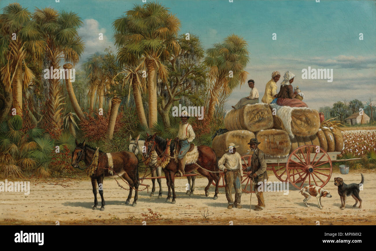 The Cotton Wagon, 1880s Stock Photo - Alamy