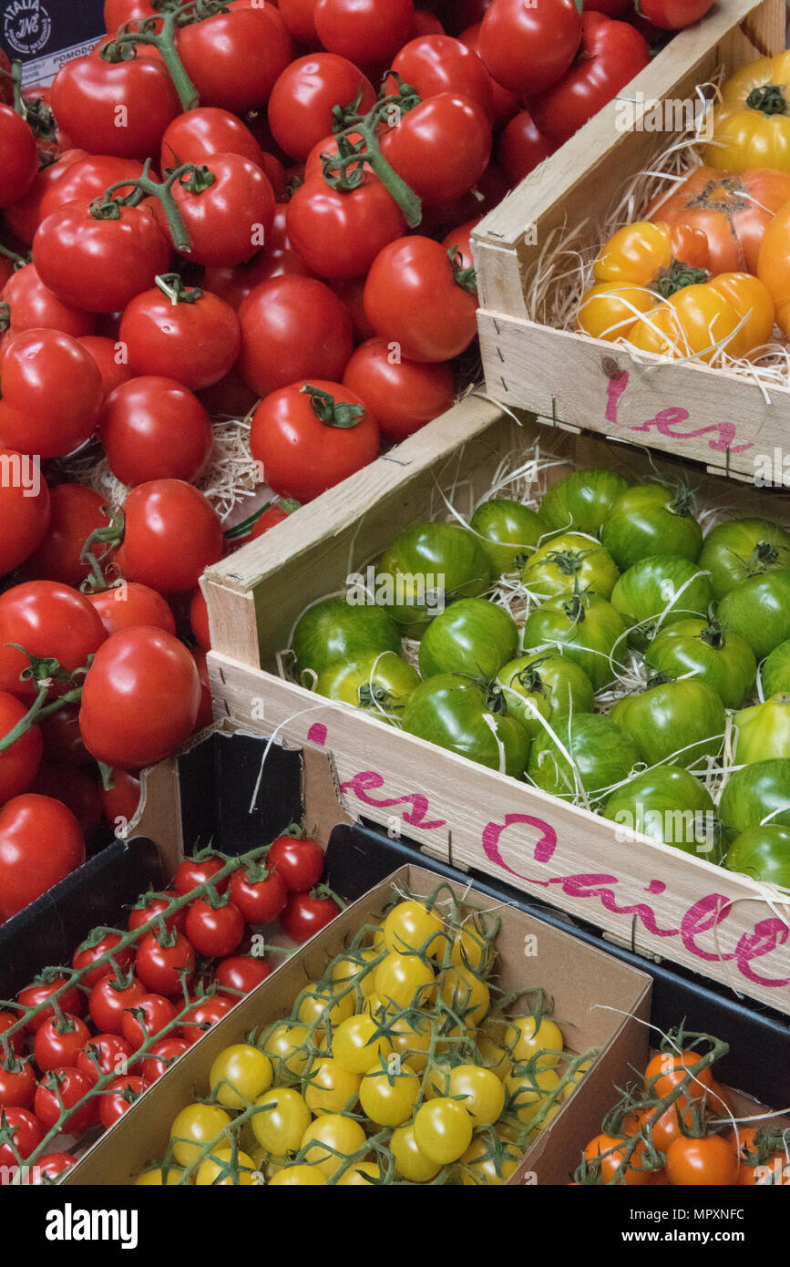 a selection of beautiful colourful freshly picked tomatoes in wooden ...
