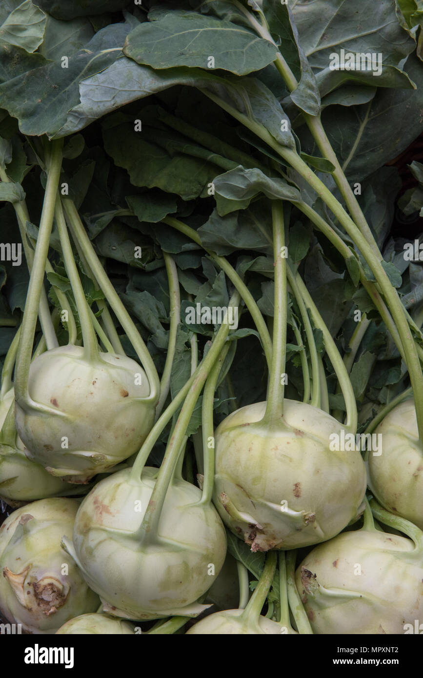 Khol hi-res stock photography and images - Alamy