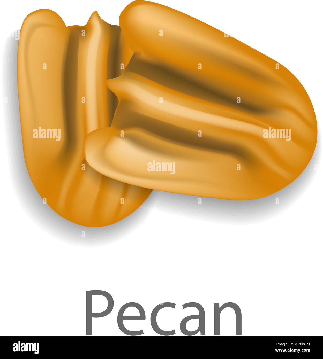 Pecan mockup, realistic style Stock Vector Image & Art - Alamy