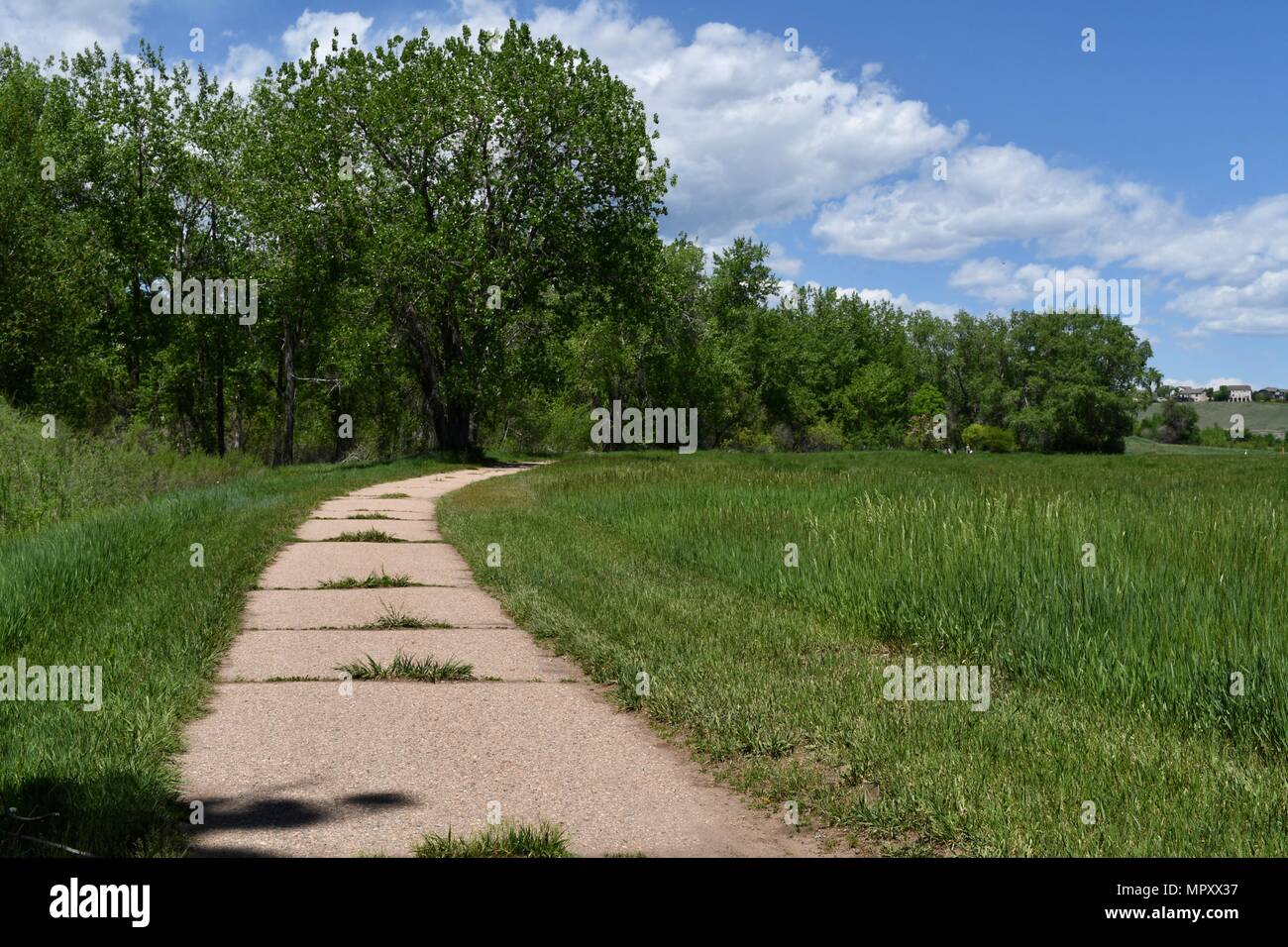 Path with grass peeping through the slabs at Chatfield Farms Stock ...