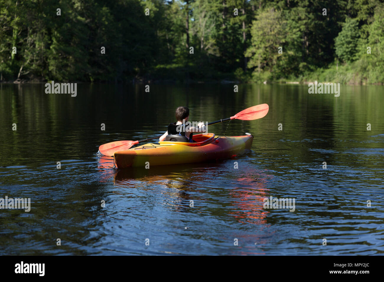 Boy kayaking in lake at forest Stock Photo - Alamy