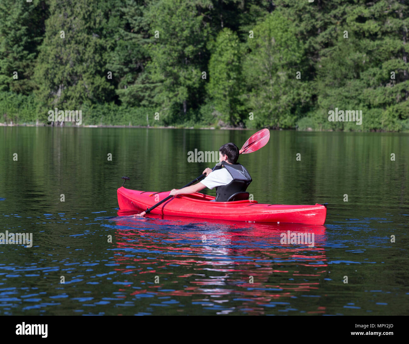 Boy rowing while kayaking in lake at forest Stock Photo - Alamy