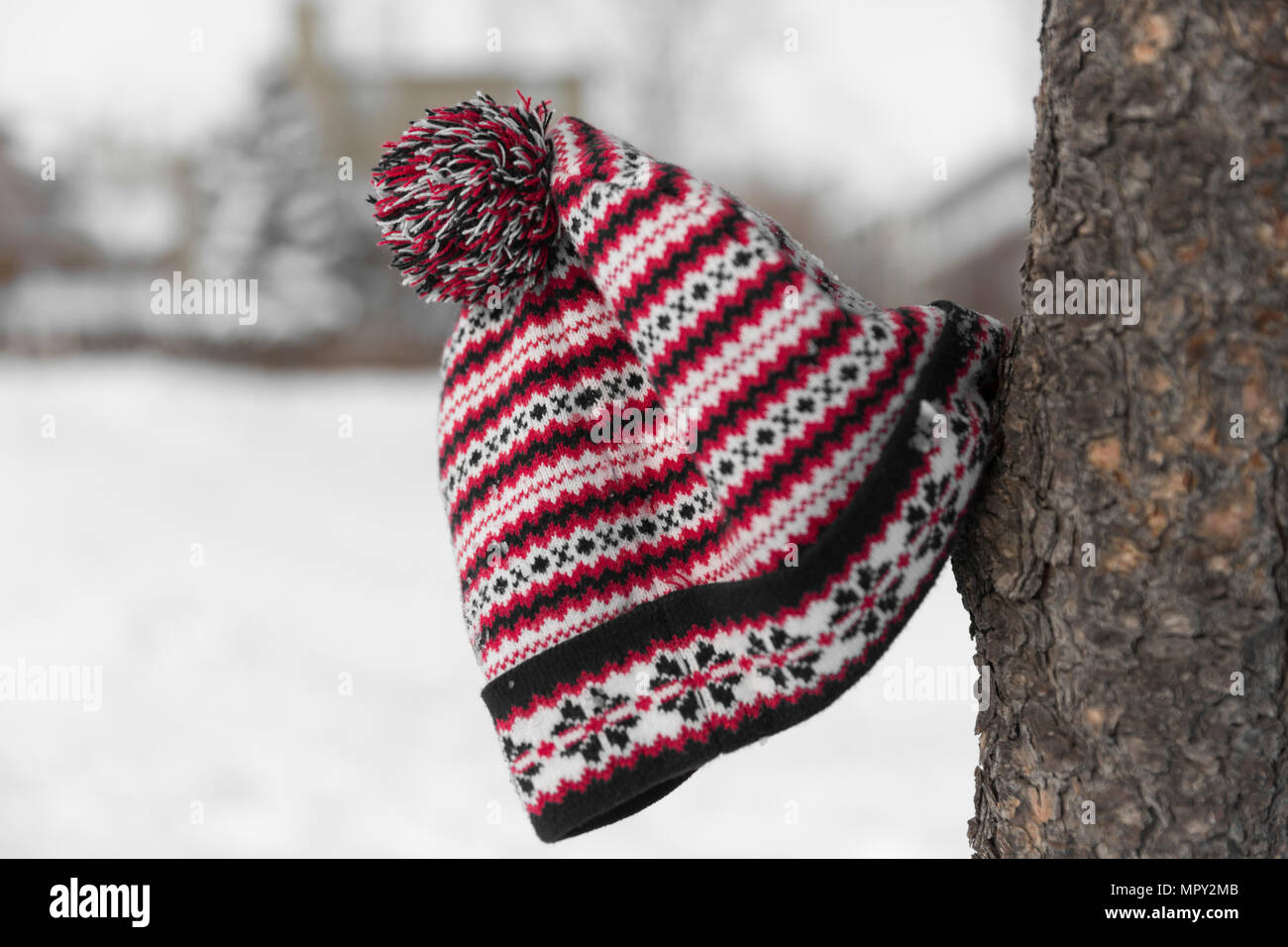 Tree trunk knitted hi-res stock photography and images - Alamy