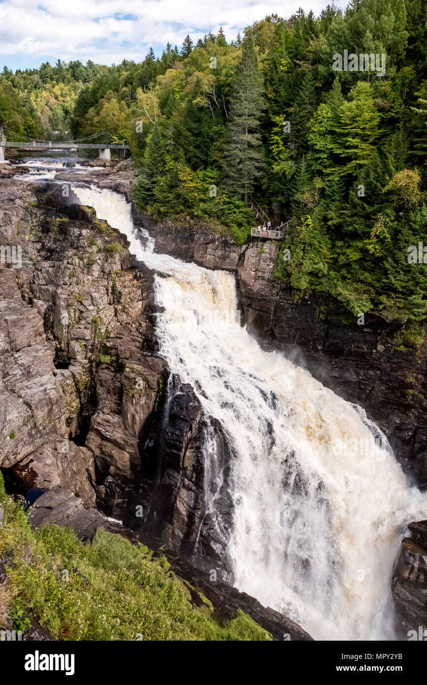 Waterfall into trees hi-res stock photography and images - Alamy