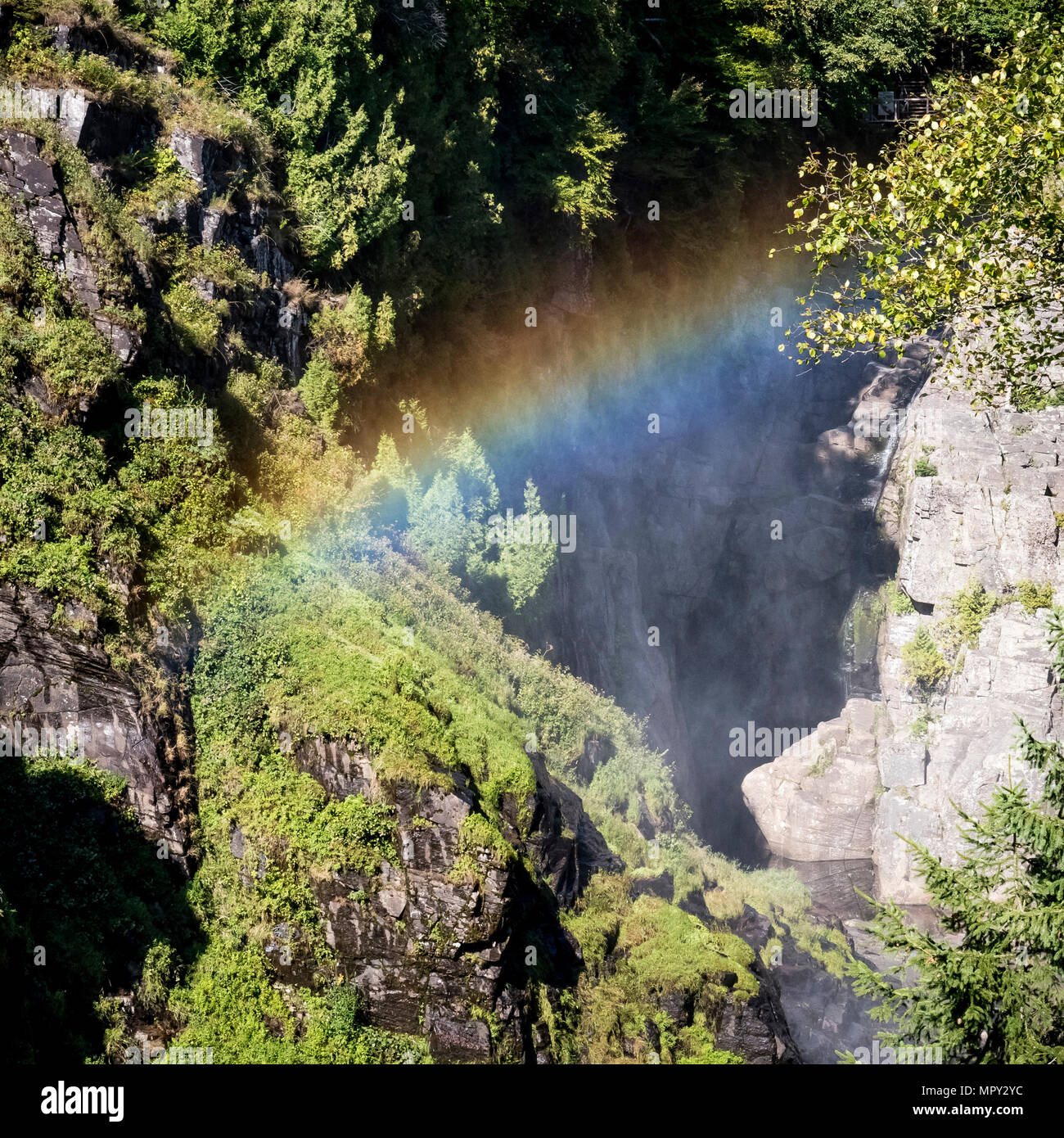Rock formations forest hi-res stock photography and images - Alamy