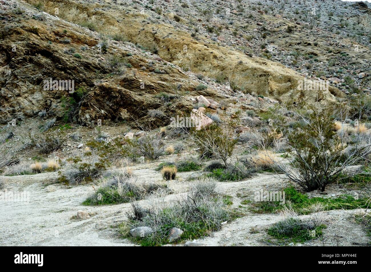 sedimentary rock, Snow on the ground, Narrows Earth Trail, Anza-Borrego ...