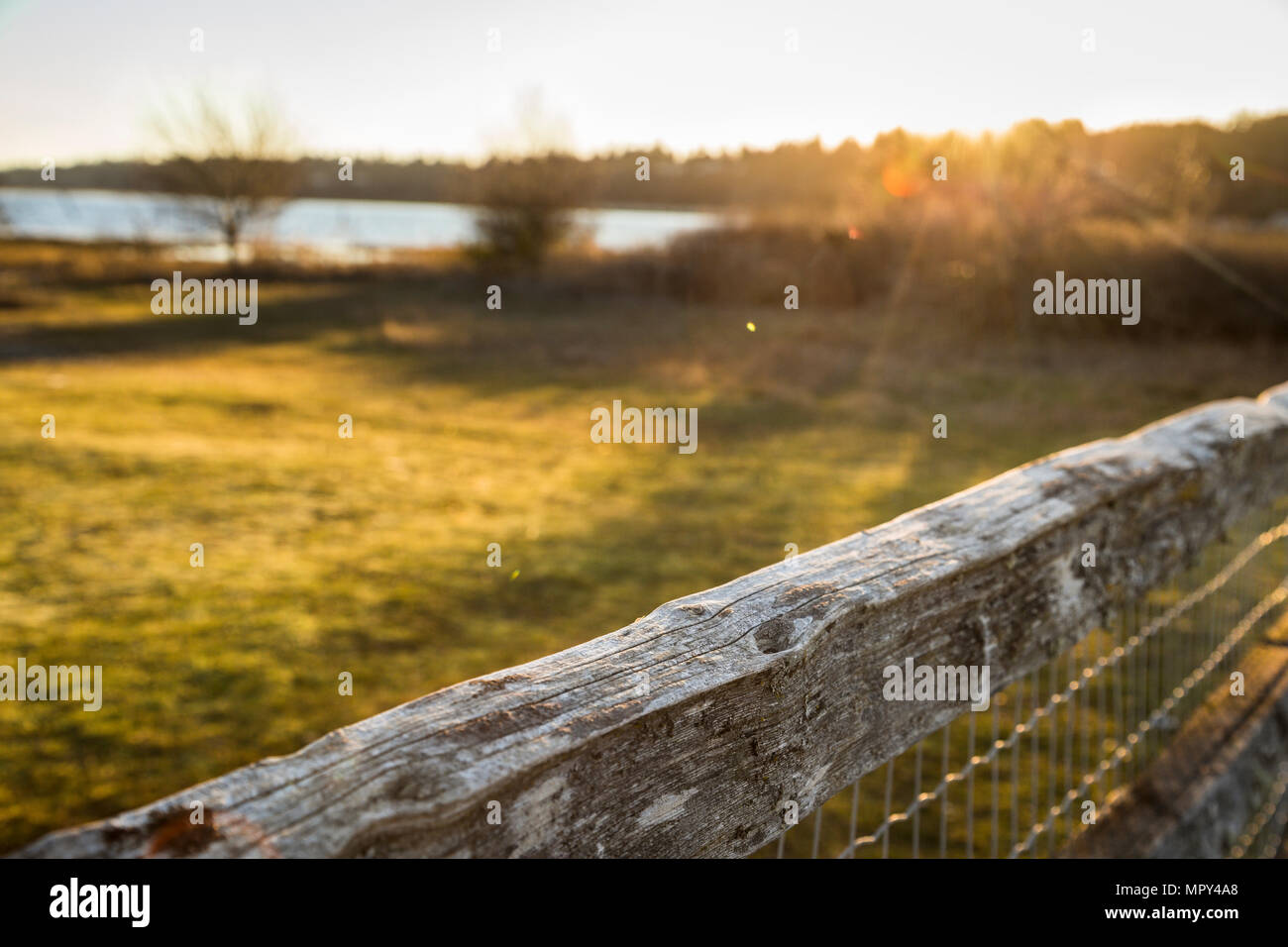 Trees fence field sky sunset fence hi-res stock photography and images ...