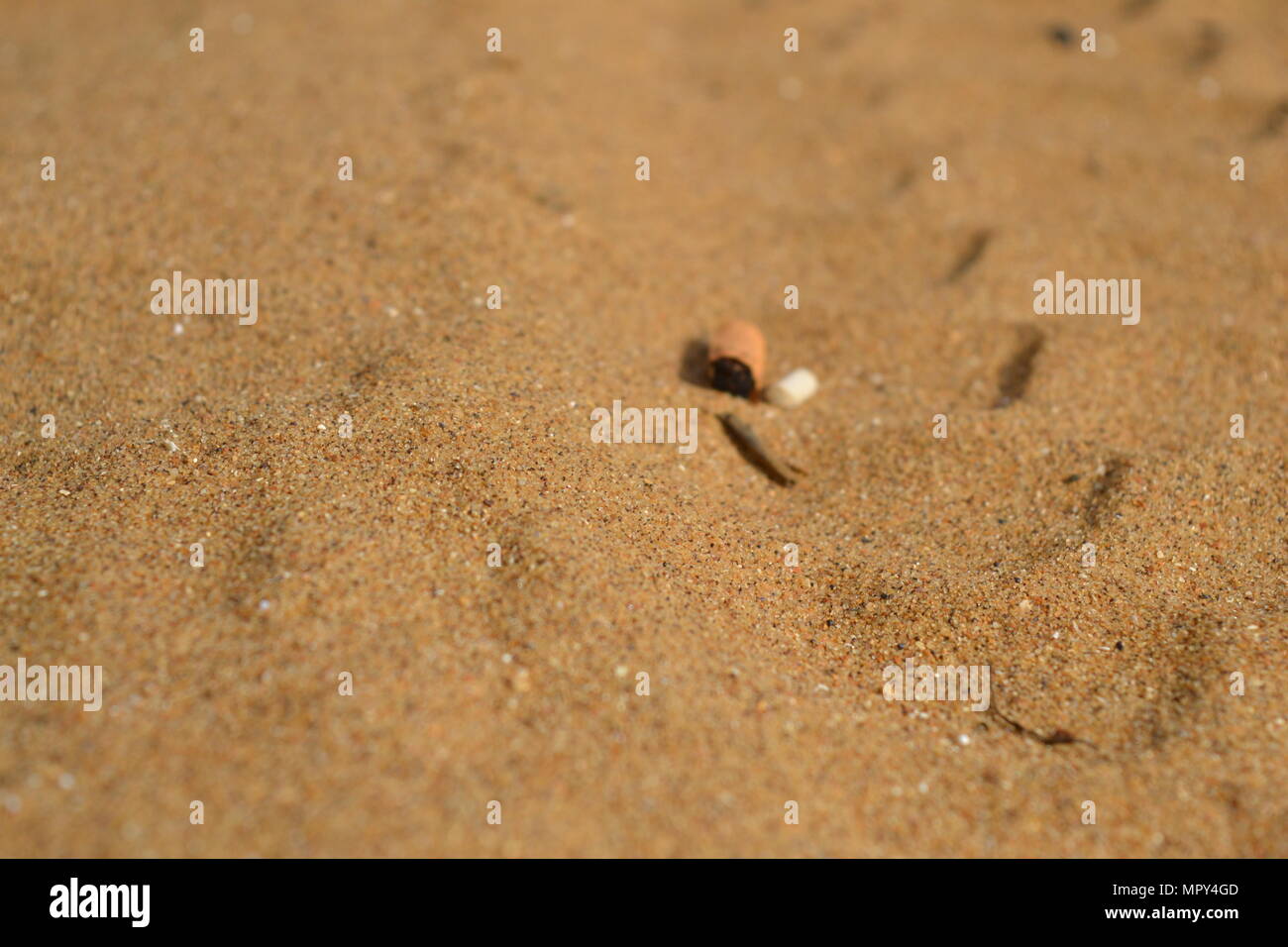 Selective focus shot beach hi-res stock photography and images - Alamy