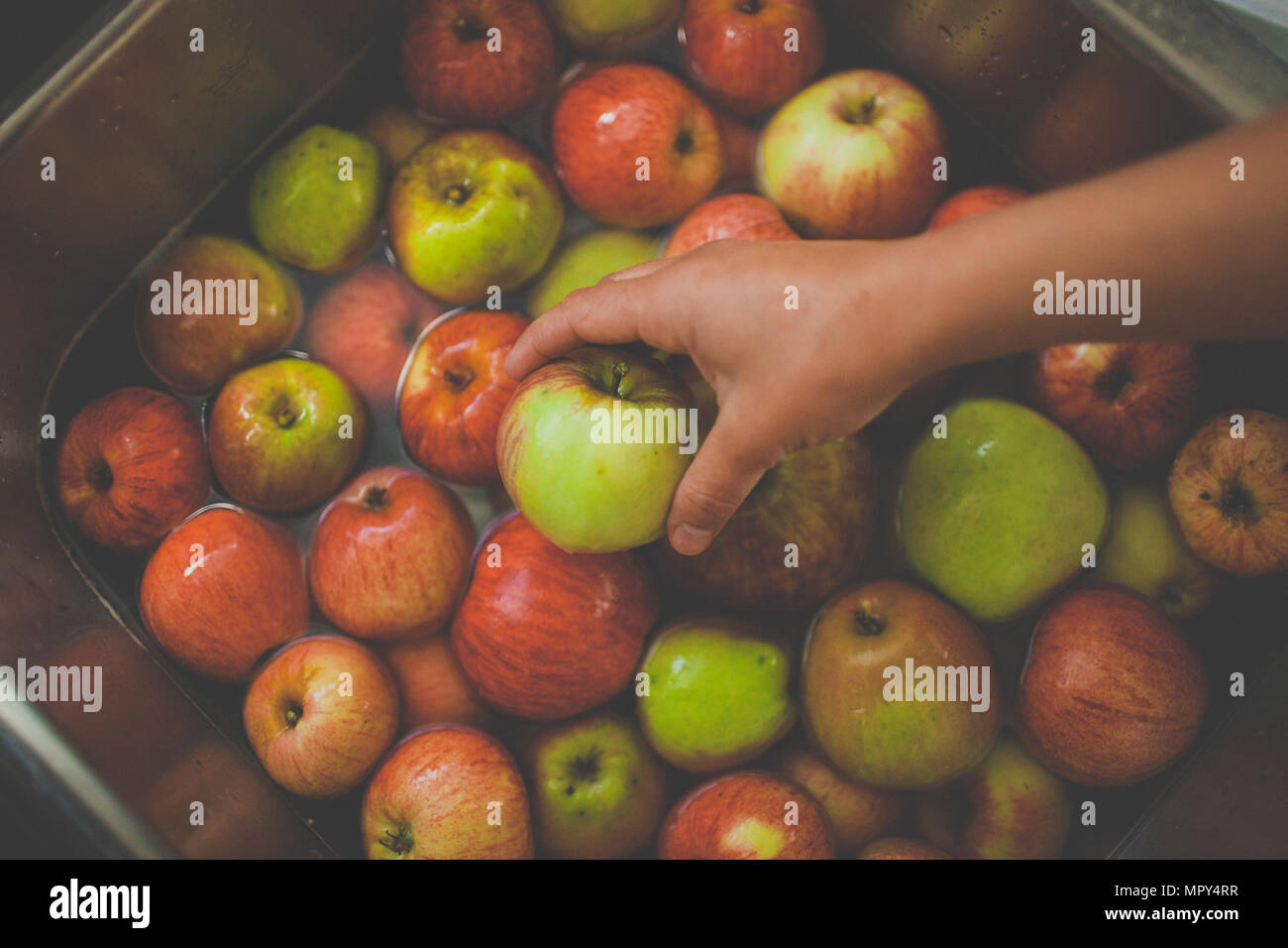 Cropped hand of woman washing apples in container Stock Photo - Alamy