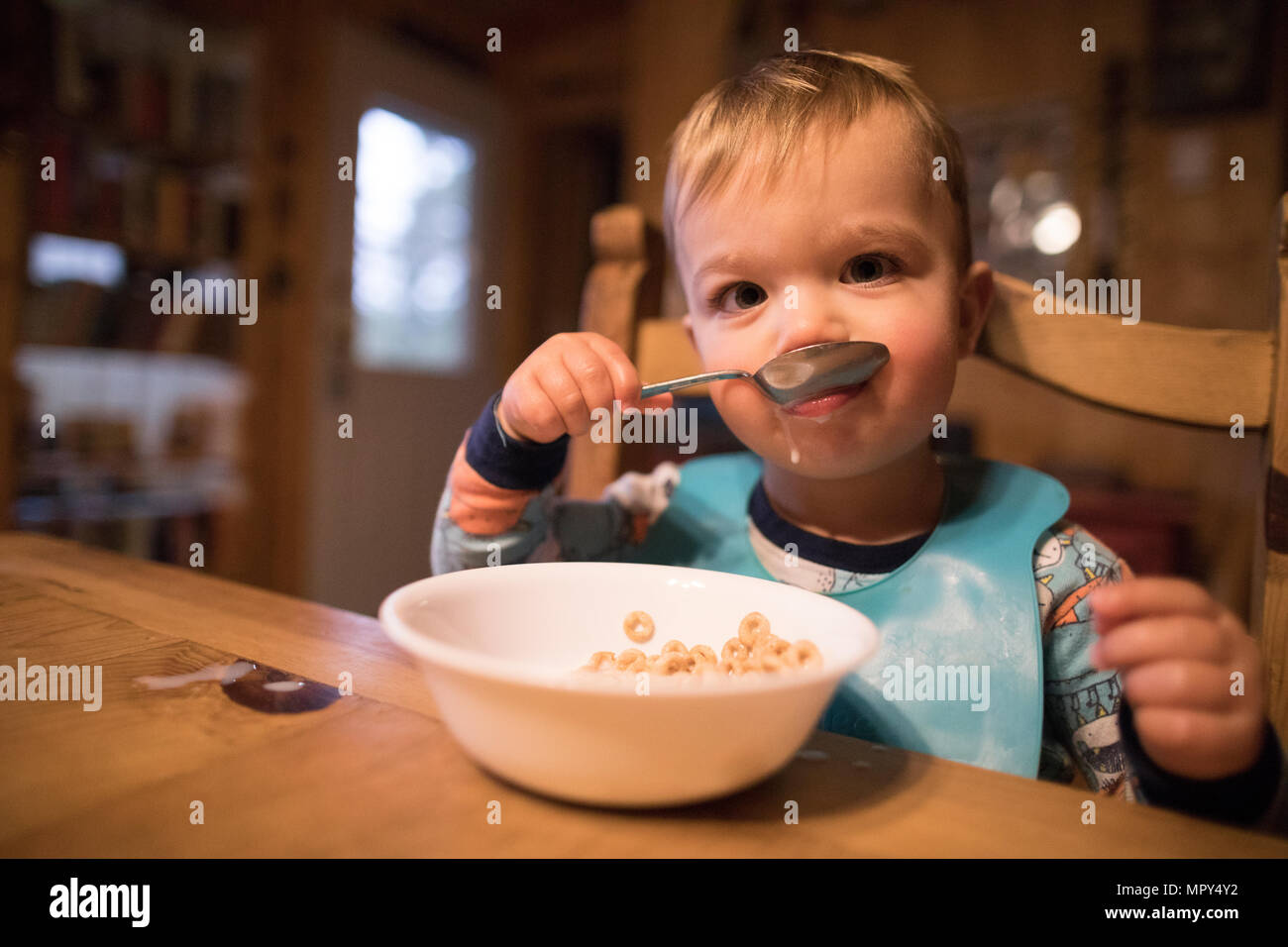 Portrait of cute baby boy eating breakfast while sitting at home Stock ...