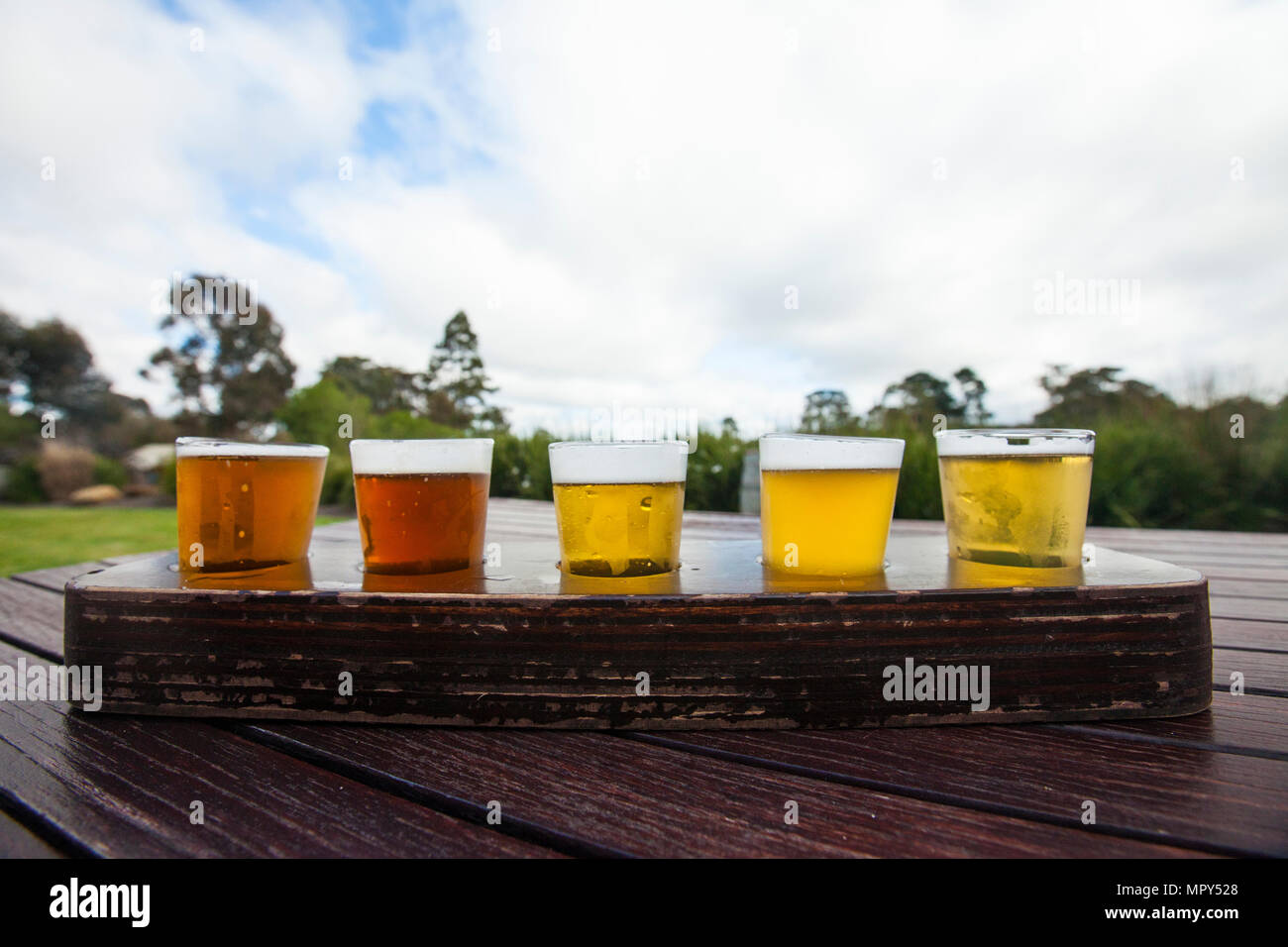 Tray of beer hi-res stock photography and images - Alamy
