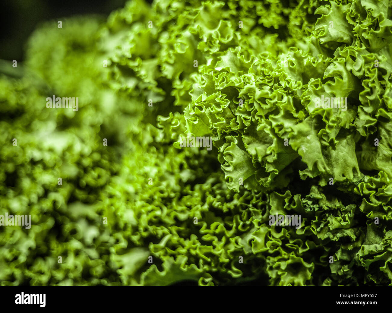 Close up vegetable grocery store hi-res stock photography and images ...