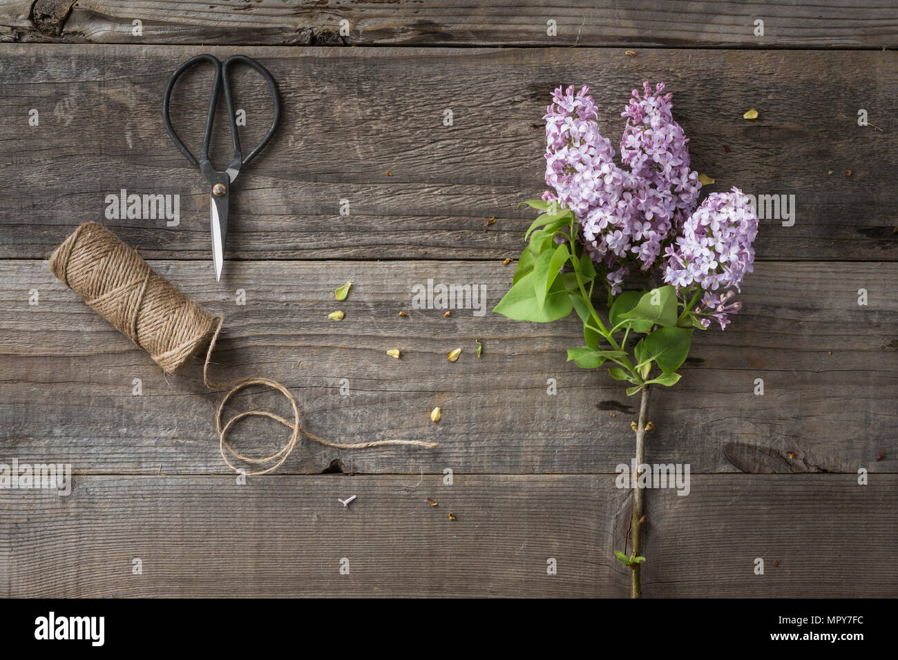 Overhead scissors hi-res stock photography and images - Alamy