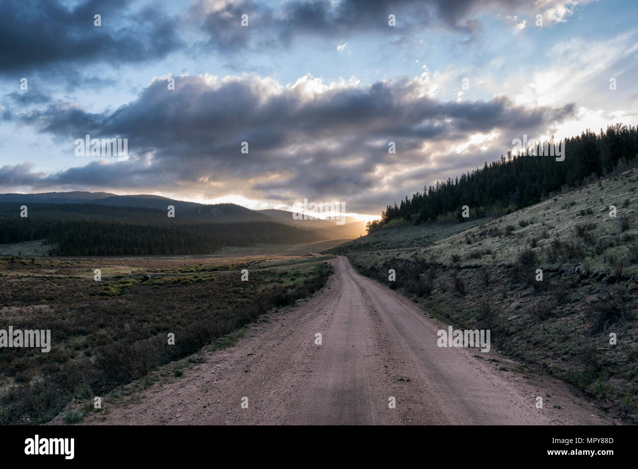 Empty road mountains trees hi-res stock photography and images - Alamy