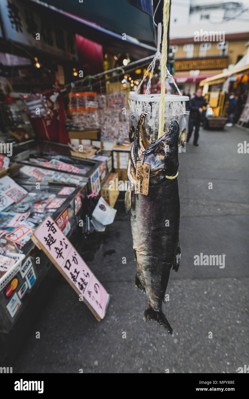 Hanging dried fish hi-res stock photography and images - Alamy
