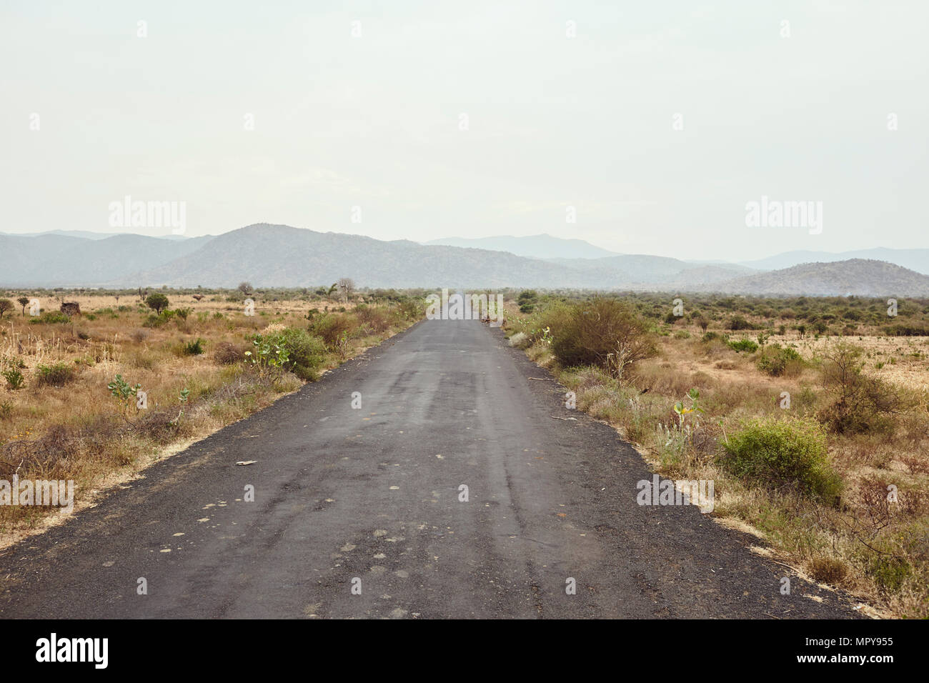 Empty field and grass hi-res stock photography and images - Alamy