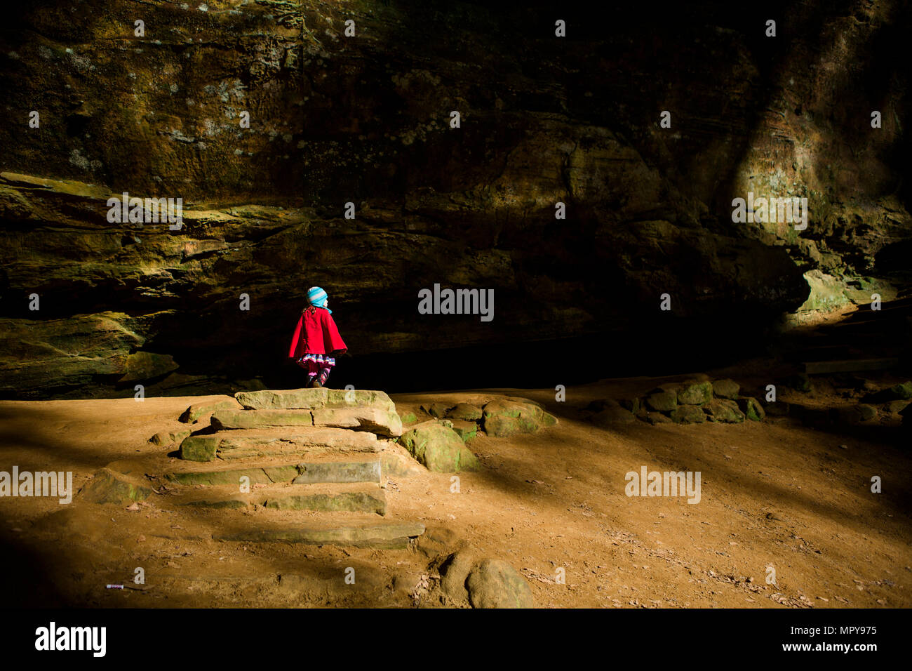 Cliff forest hi-res stock photography and images - Alamy