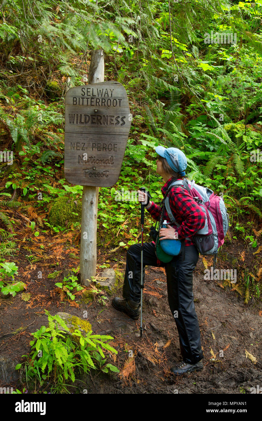 Bitterroot national forest hiker hi-res stock photography and images ...