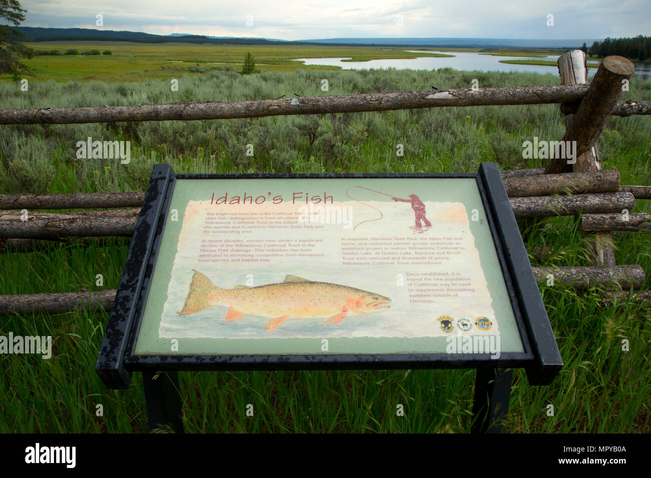 Harriman state park idaho hi-res stock photography and images - Alamy