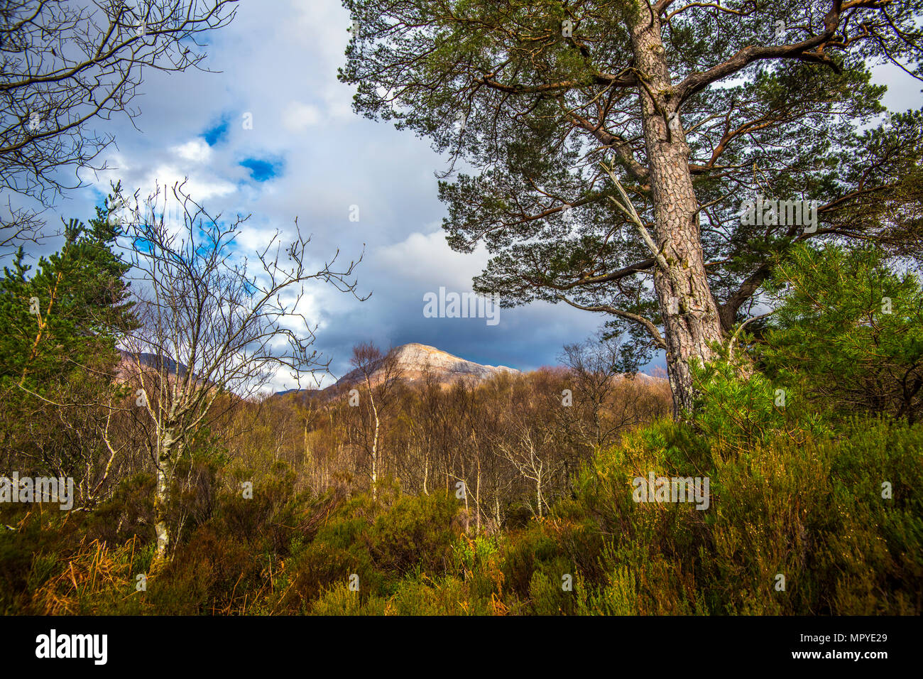 Caledonia class hi-res stock photography and images - Alamy