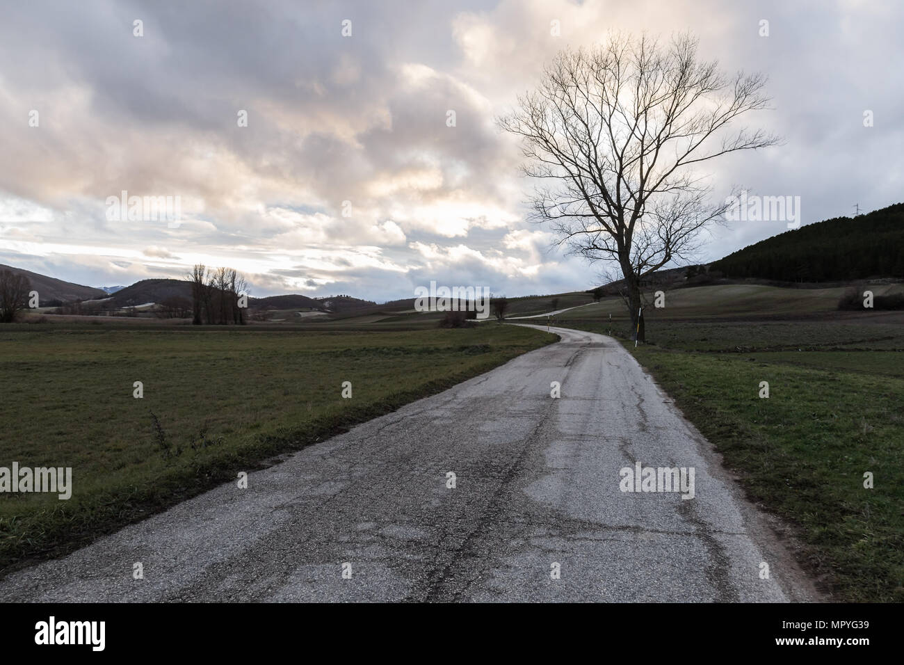 A curvy country road beneath a cloudy sky with a tree silhouette Stock ...