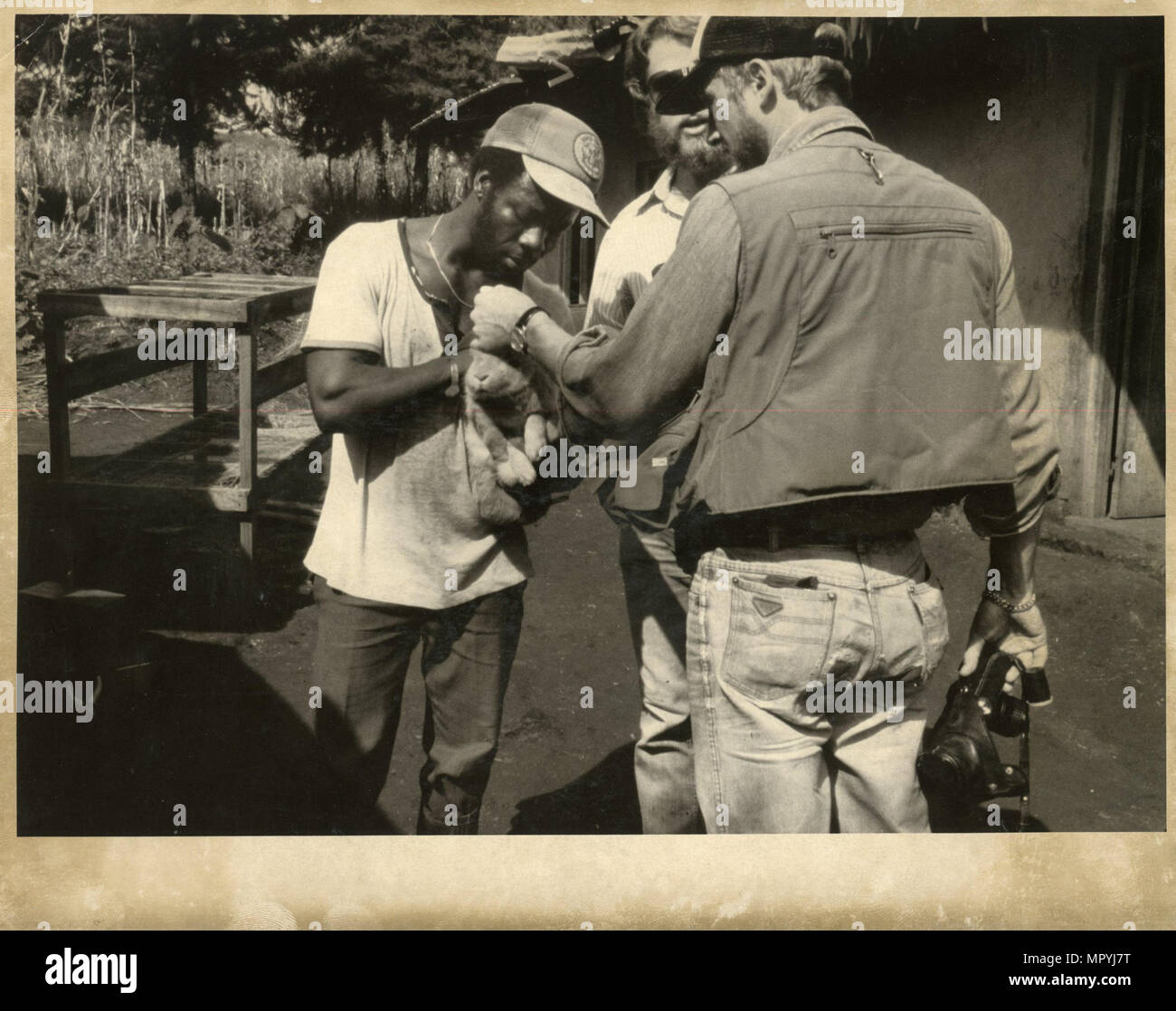 MEN VIEWING AN OBJECT Stock Photo - Alamy