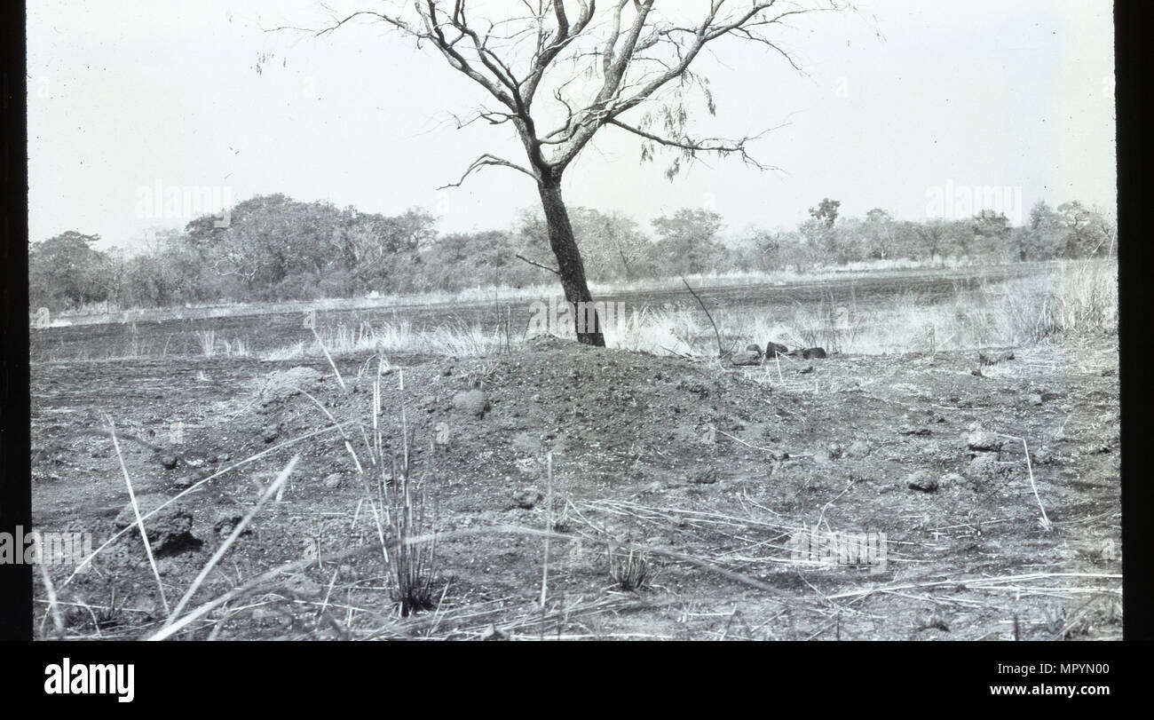 MISCELLANEOUS PHOTOS - An empty field Stock Photo - Alamy