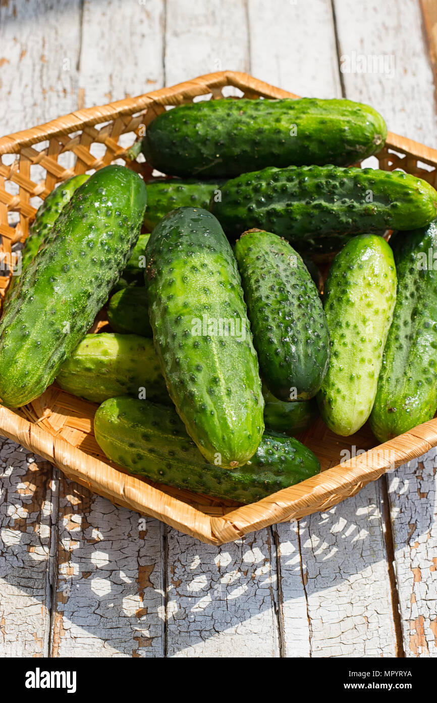 Small wooden crate with fresh organic cucumbers on the white hi-res ...