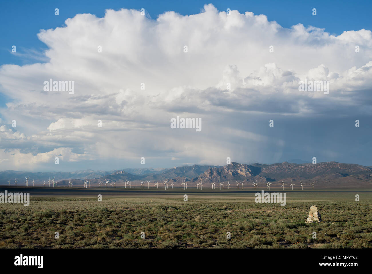 Spring Valley Wind Farm is the first and only large wind power facility ...