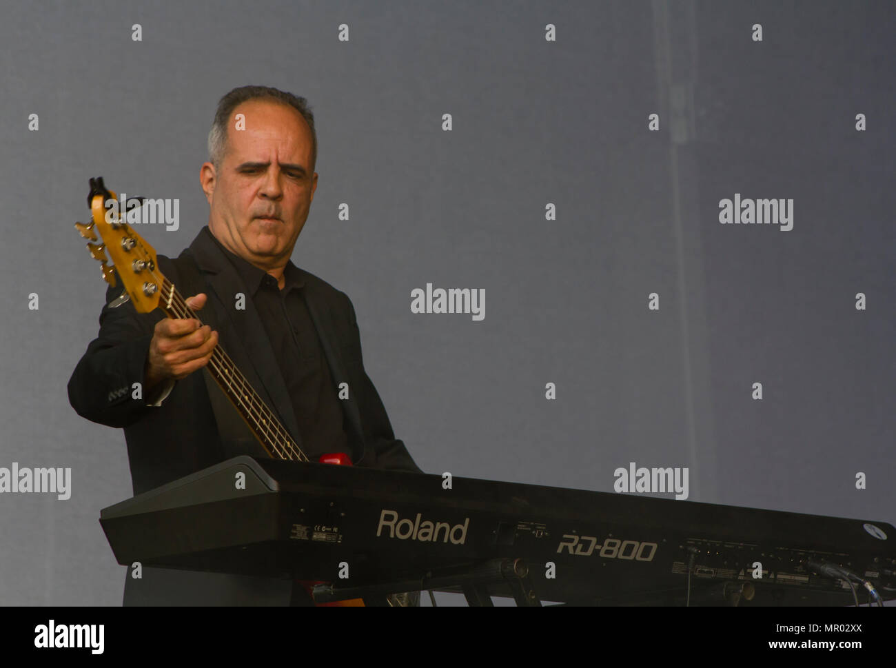 Rodrigo Leão playing guitar at music festival Stock Photo - Alamy