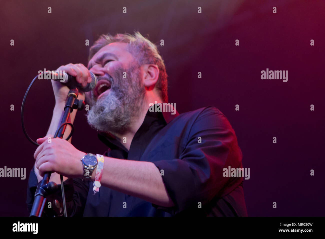 Arab Strap performin at music festival Stock Photo - Alamy