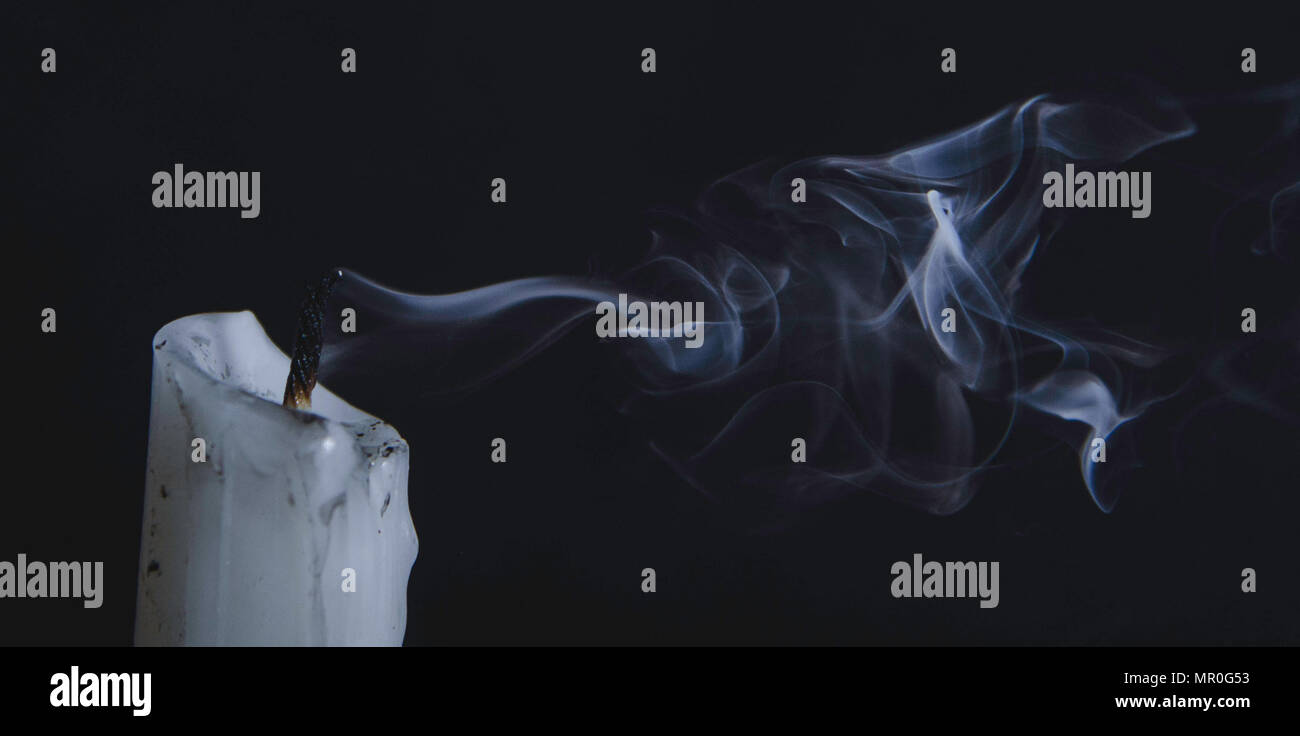 Random cat hi-res stock photography and images - Alamy