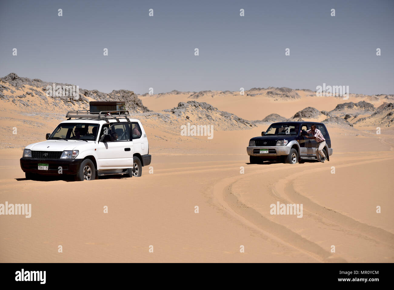 Toyota prado white hi-res stock photography and images - Alamy