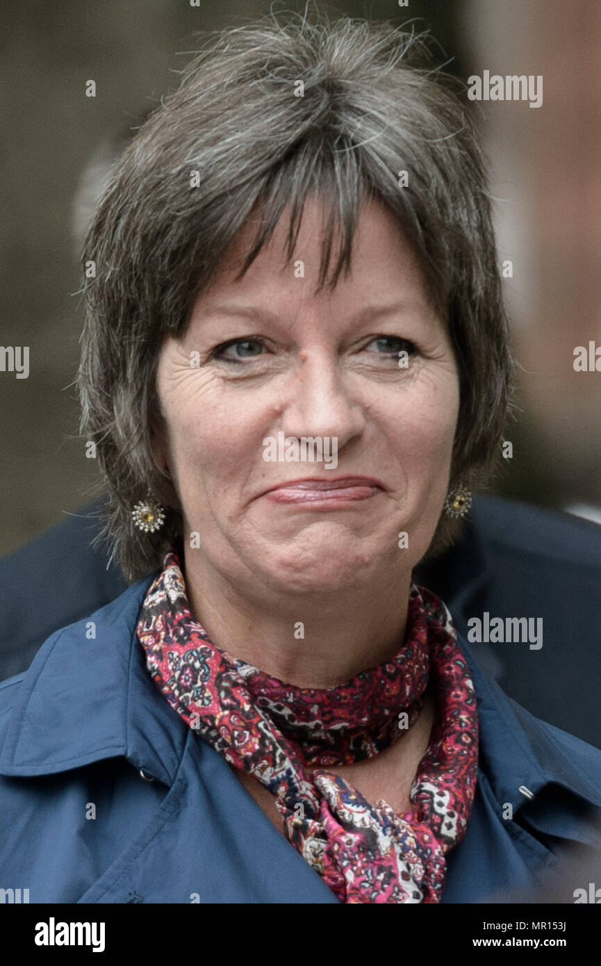 London, UK. 25th May 2018. Alison Chabloz arrives at Westminster ...