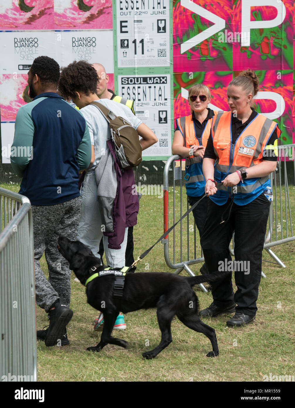 Sniffer dogs uk hi-res stock photography and images - Alamy