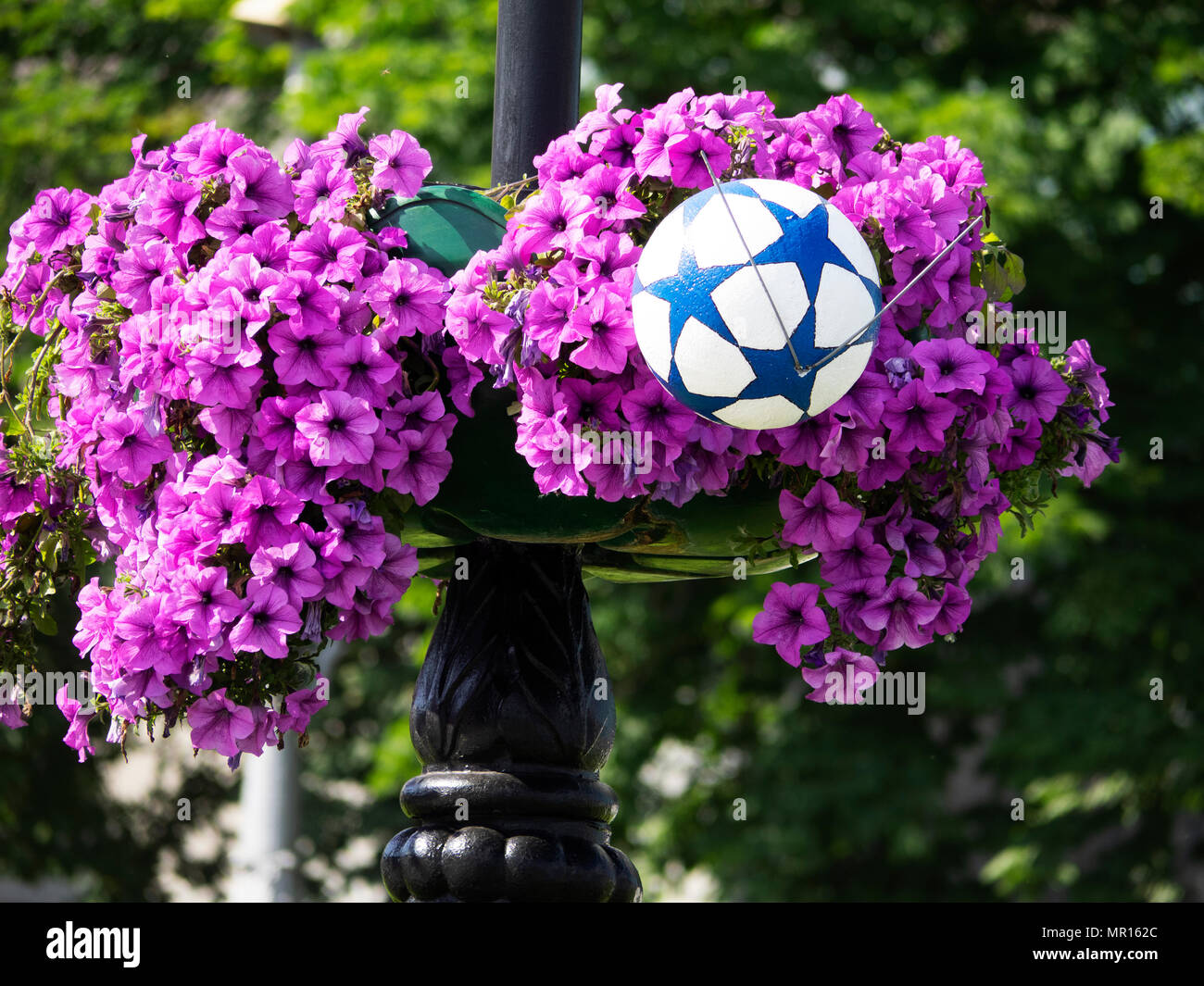 Kiev, Ukraine. 25th may 2018. Pots with petunias decorated with a ...