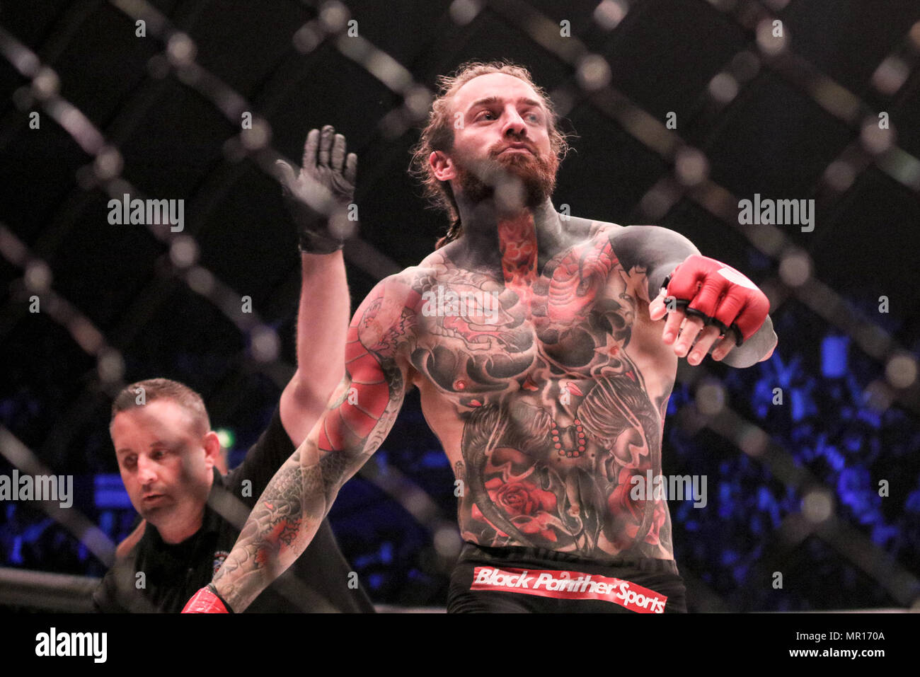 Dan griffiths hi-res stock photography and images - Alamy