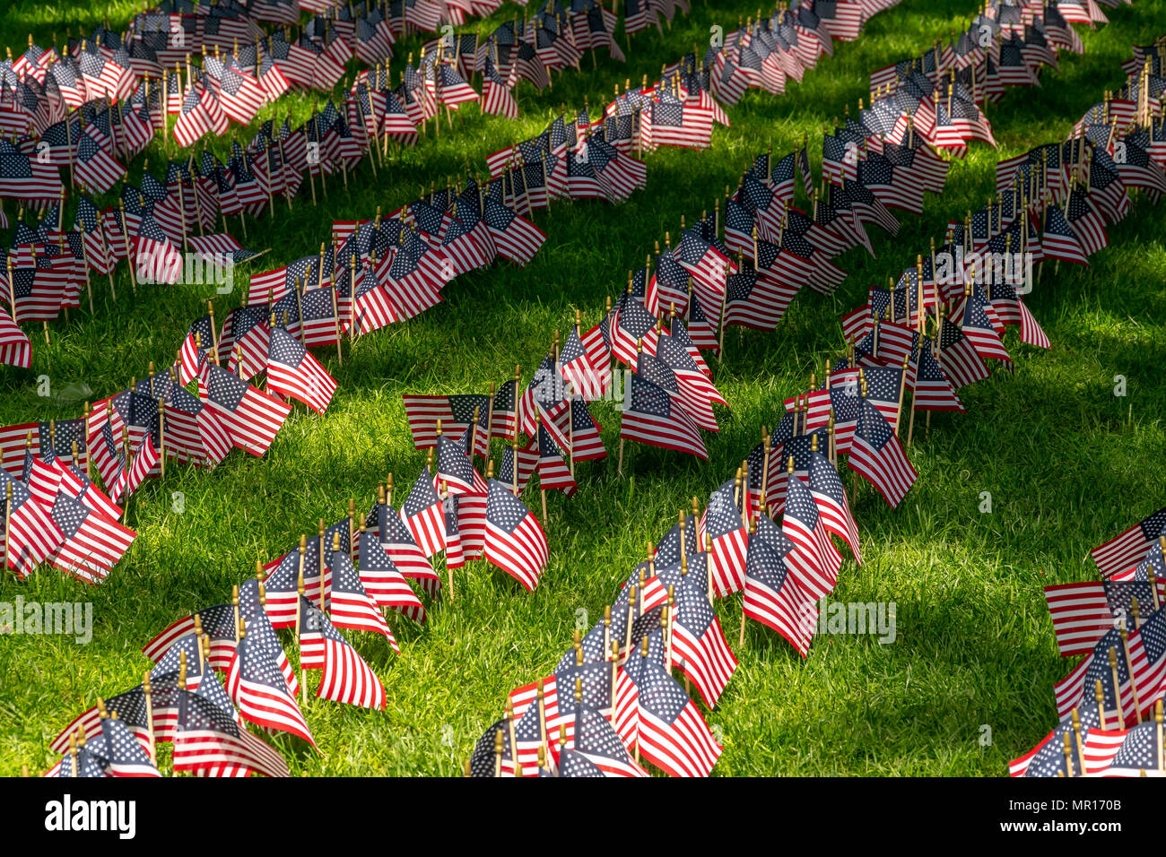 New York, USA, 25 May 2018. Hundreds of American flags are placed on ...