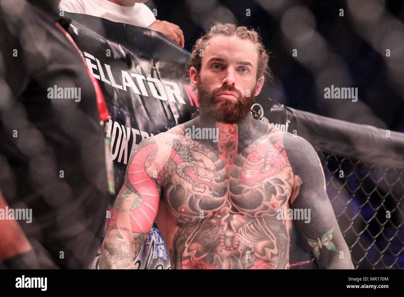 Aaron chalmers mma hi-res stock photography and images - Alamy