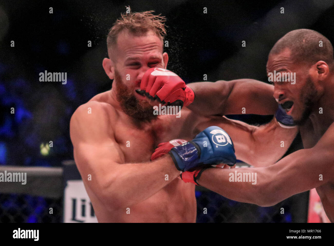 Rickels hi-res stock photography and images - Alamy